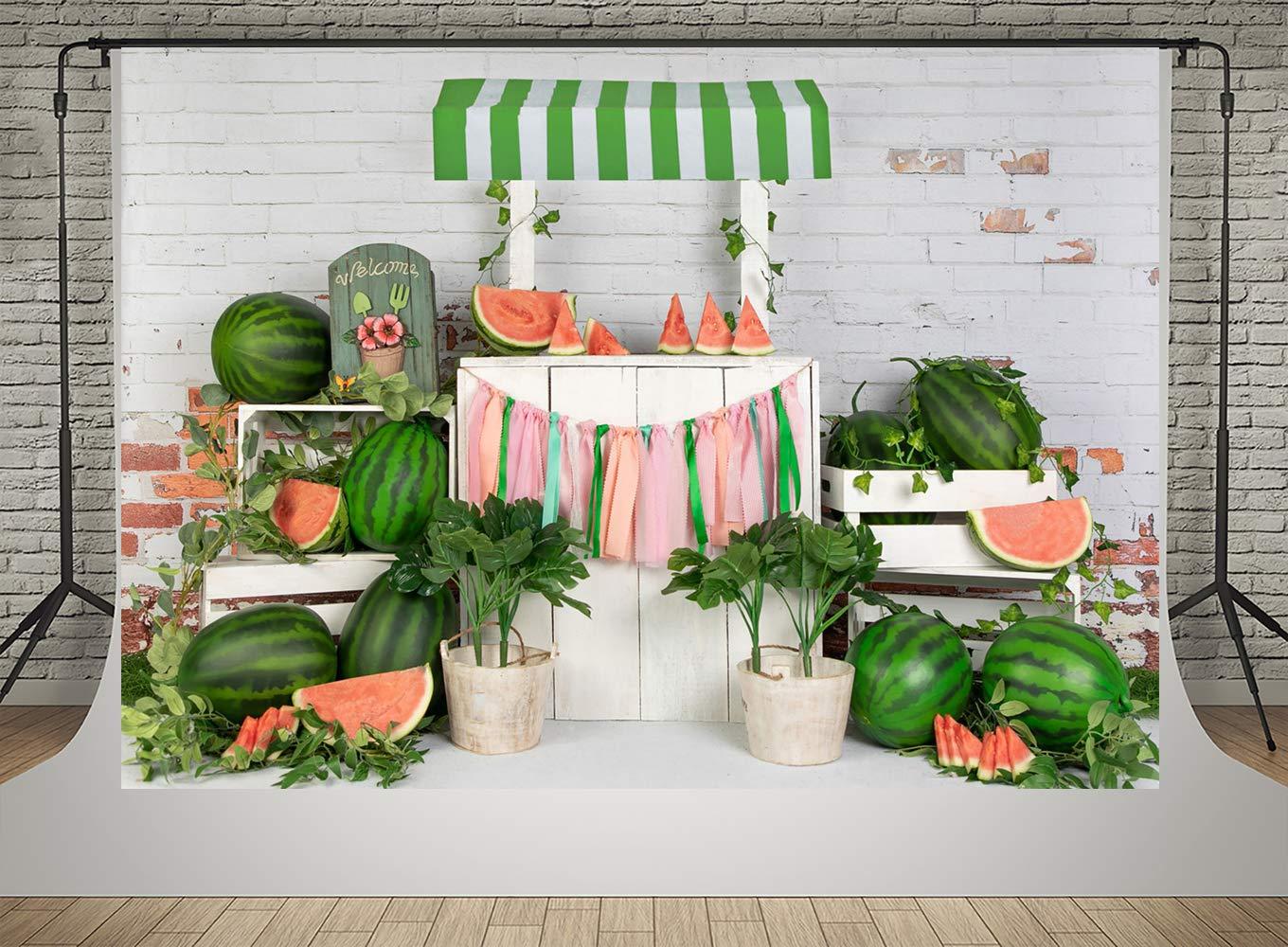Kate Summer Watermelon Shop Photography Backdrops Kate